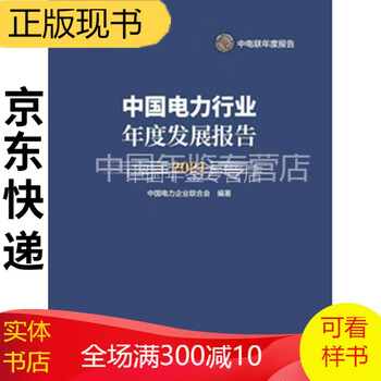 中国电力行业年度发展报告2021（16开软精装） 中国电力行业年度发展报告2021