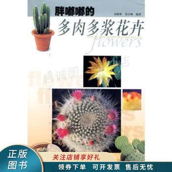 胖嘟嘟多肉多浆花卉