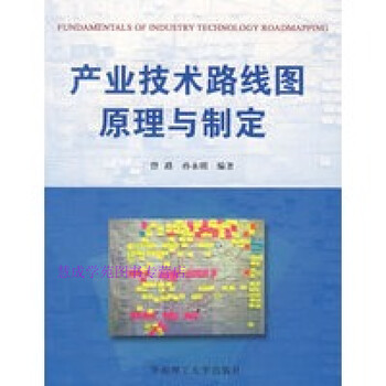 产业技术路线图原理与制定 曾路 孙永明