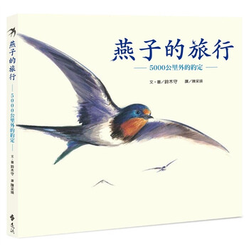 台版 燕子的旅行 5000公里外的约定艺术绘画 远流