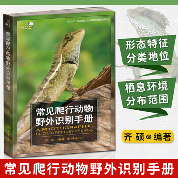 常见爬行动物野外识别手册 齐硕编著 爬行动物 对照识别图鉴 生物野外实习工具书 自然科学科普百科书