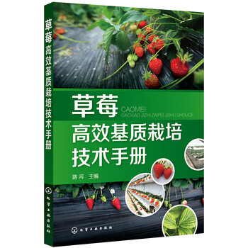 草莓高效基质栽培技术手册（现代化无土高效益栽培草莓）