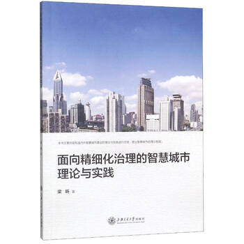 面向精细化治理的智慧城市理论与实践