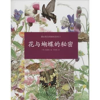 花与蝴蝶的秘密-3