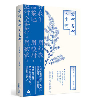 爱啊美啊人生啊【图书】
