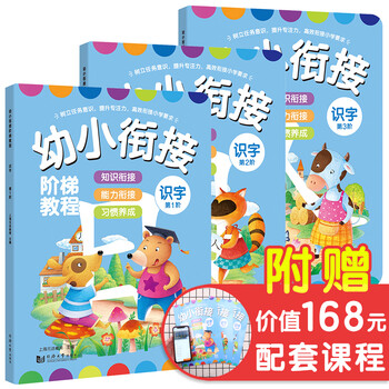 幼小衔接阶梯教程  识字 全3册