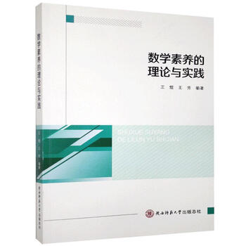 数学素养的理论与实践考试中学数学课教学研究 图书