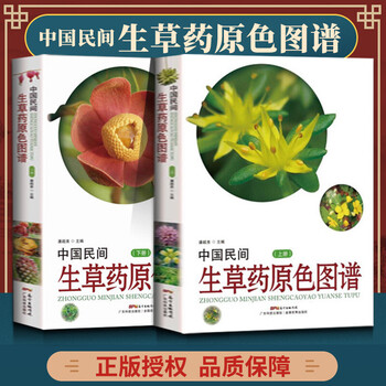 正版医学书中国民间生草药原色图谱(上)(下册）套装书 潘美 编