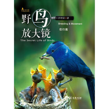 野鸟放大镜(住行篇)/自然观察