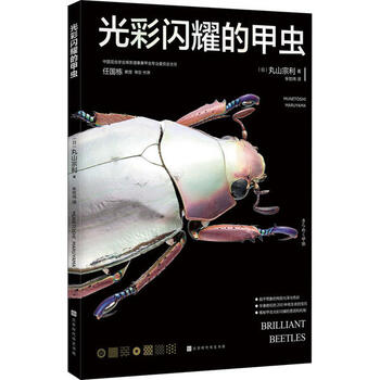 光彩闪耀的甲虫（插图版） 全新正版