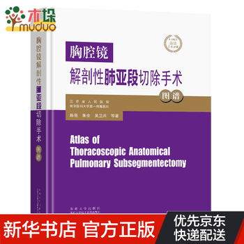 胸腔镜解剖性肺亚段切除手术图谱
