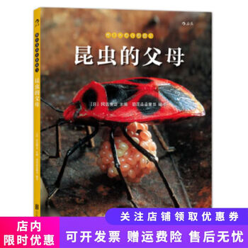 我们去找小昆虫5昆虫的父母