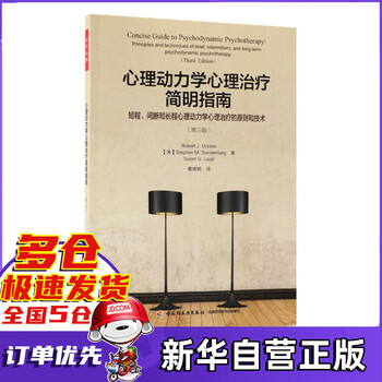 心理动力学心理治疗简明指南(短程间断和长程心理动力学心理治疗的原则和技术第3版)