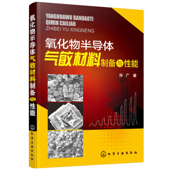氧化物半导体气敏材料制备与性能 孙广 化学工业出版社