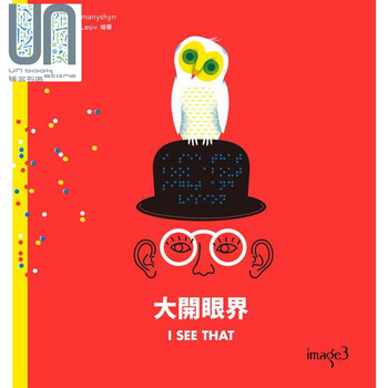 大开眼界 港台原版 罗马娜.洛玛尼新、安德瑞.雷西夫 大块文化