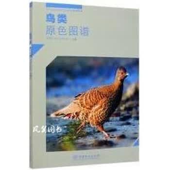 鸟类原色图谱 周材权等著 中国林业出版社