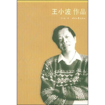 王小波作品 文化【2009年】