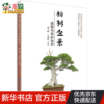 柏树盆景造型与养护技艺