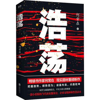 浩荡 何常在 著 官场、职场小说