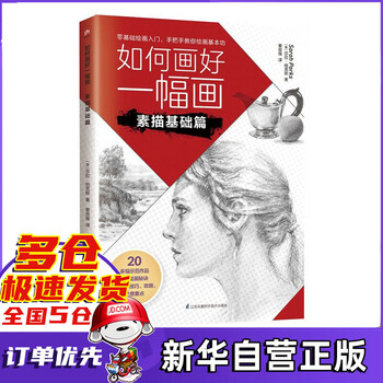 如何画好一幅画(素描基础篇)