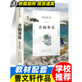 宝葫芦的秘密张天翼原著三年级四五六小学生课外阅读书籍青少年人民儿童文学教育读物吉林大学注释全集 教材配套阅读—青铜葵花