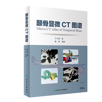 骨骼显微CT图谱9787117274661人民卫生于子龙