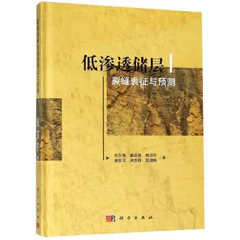 低渗透储层裂缝表征与预测(精)