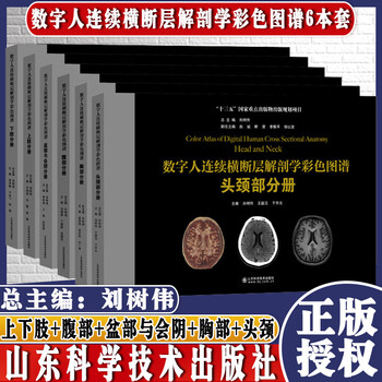 全套共6本数字人连续横断层解剖学彩色图谱-上下肢+腹部+盆部与会阴+胸部+头颈部分册山东科学技术