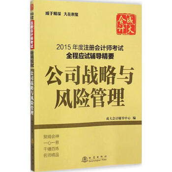 公司战略与风险管理【正版图书，放心下单】