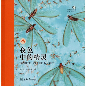 夜色中的精灵