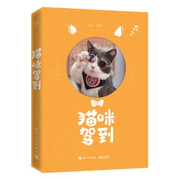 正版 猫咪驾到全彩 克查 宠物摄影教程书籍 宠物摄影与后期处理技法 摄影拍照拍摄构图技巧 电子工业出