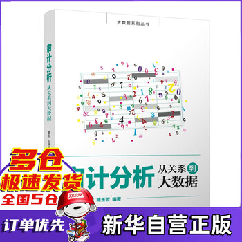 审计分析(从关系到大数据)/大数据系列丛书