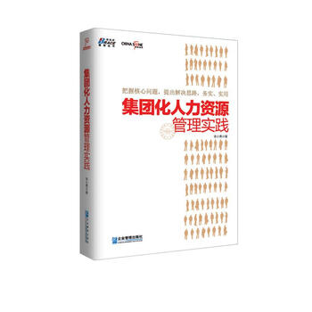 集团化人力资源管理实践 李小勇【正版书】