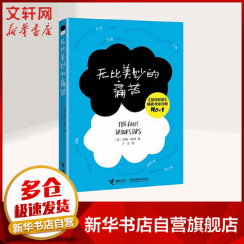 无比美妙的痛苦 (美)约翰格林