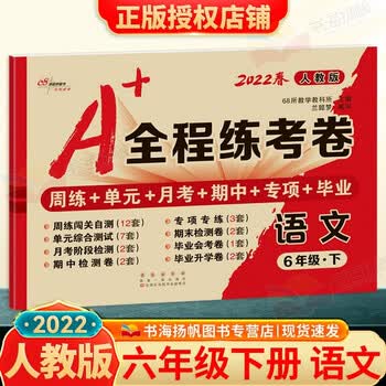 可选】A+全程练考卷六年级 下册 语文 人教版 小学同步训练单元期中期末卷子