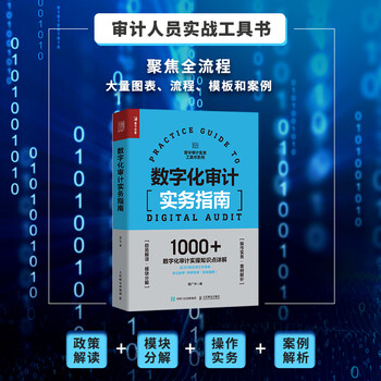 数字化审计实务指南 图书