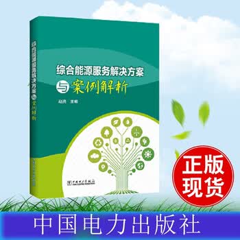 综合能源服务解决方案与案例解析赵亮 综合能源服务建设与运营书籍 综合能源服务典型应用场景及能源需求特