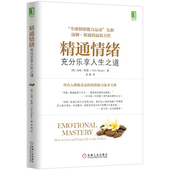 精通情绪:充分乐享人生之道