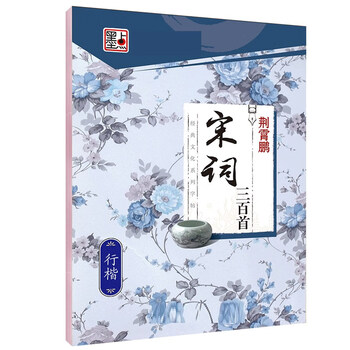 行楷字帖练字成年手写大学生高中生练字帖小学生楷书正楷体硬 行楷：宋词三百首