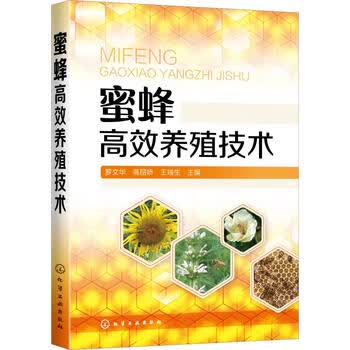 蜜蜂高效养殖技术