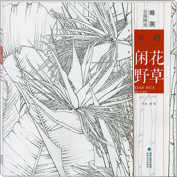 唯美白描精选 未君 闲花野草