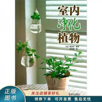 室内净化植物
