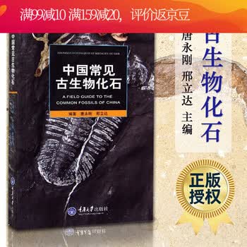 中国常见古生物化石探寻自然的奥秘，让你成为古生物化石专家，大量精美图片全图书科普读物生物Y