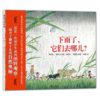 下雨了，它们去哪儿？ 让孩子学会观察环境的自然故事绘本 3-6岁蒲蒲兰绘本