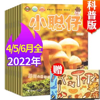 【赠贴纸+游戏题册半年珍藏共6本】小聪仔（科普版）杂志2022年1.2/3/4/5/6月打包【另有新期3本可选】2~8岁益智兴趣儿童科普百科自然非2021过期刊 B组：2022年4/5/6月共3本