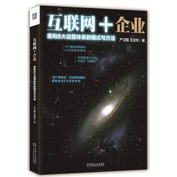 互联网+企业(重构8大运营体系的模式与方法)