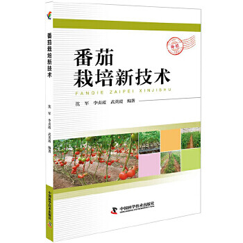 番茄栽培新技术