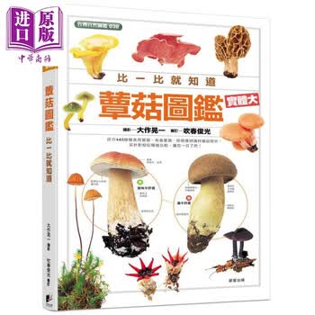 蕈菇图鉴 港台原版 大作晃一 晨星