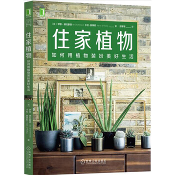 住家植物：如何用植物装扮美好生活