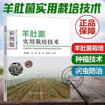 彩图版羊肚菌实用栽培技术 羊肚菌大棚高效栽培技术大全 羊肚菌栽培书籍 羊肚菌种植技术 蘑菇食用菌栽培
